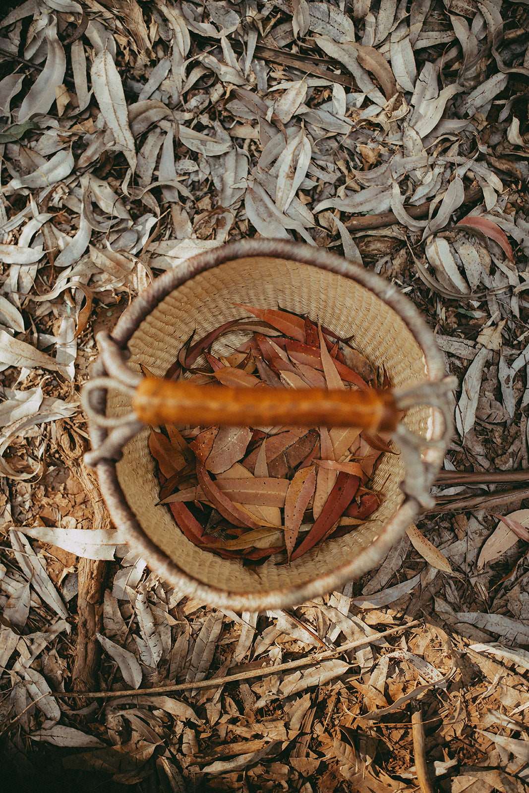 Silk and Earth